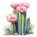 Watercolor Cactus Clipart Set: Blooming Desert Plants (digital Download ...
