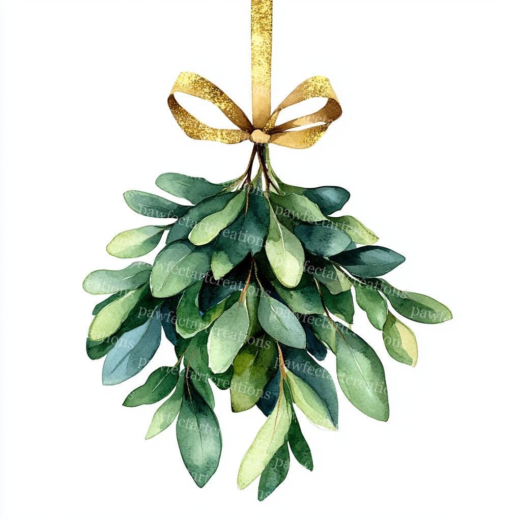 15 Mistletoe Clipart, Christmas Card, Christmas Flower Clipart ...