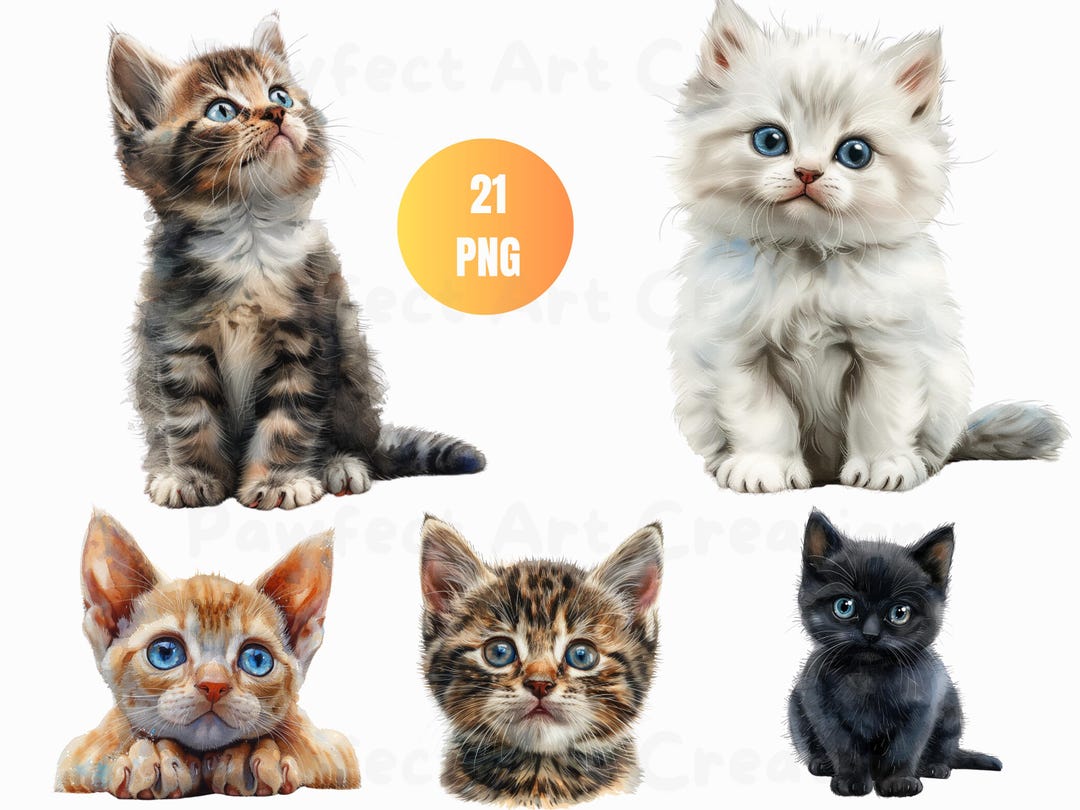 21 Watercolor Cat Clipart, Cute Kitten Clipart,various Cat, Papercraft ...
