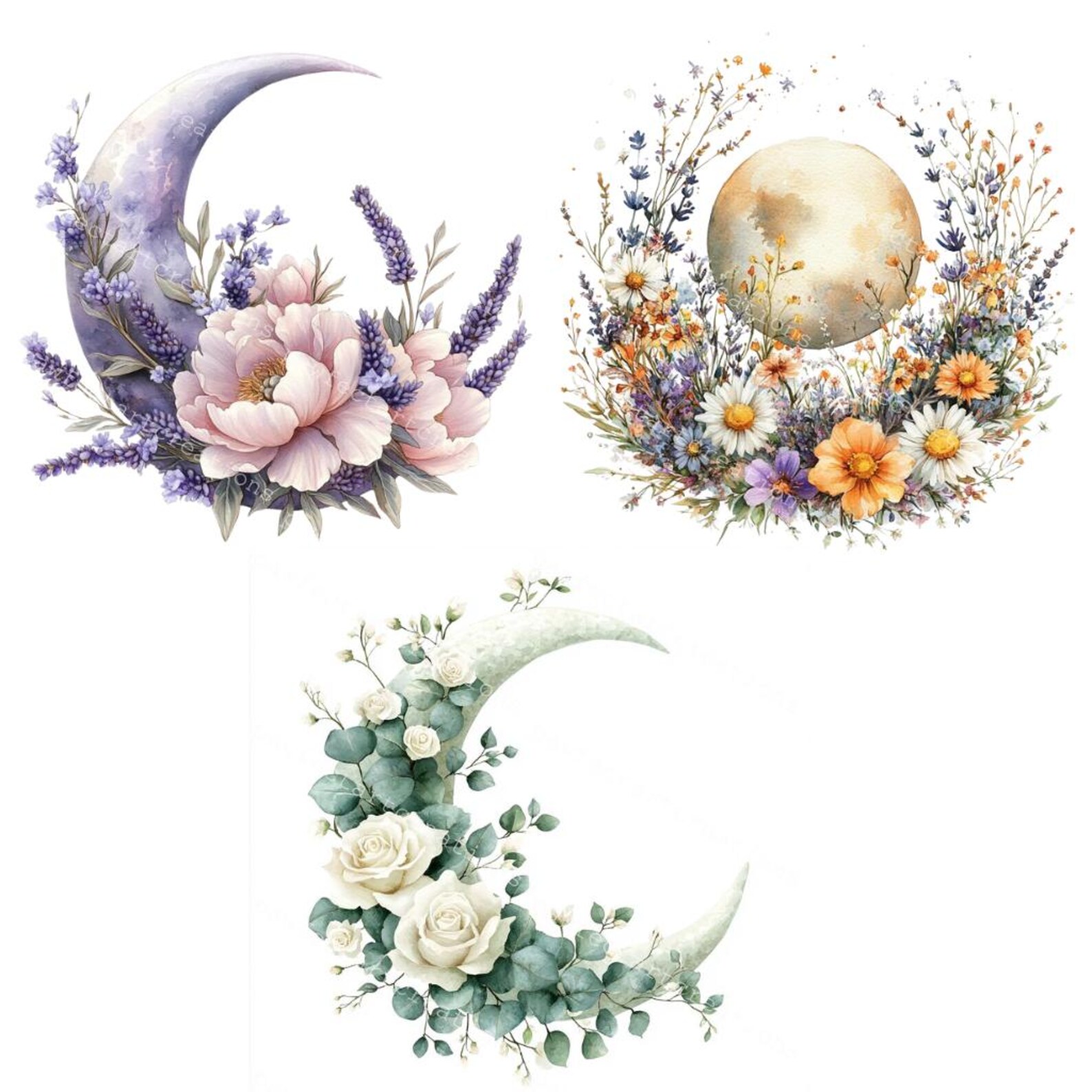 Floral Moon Clipart: Watercolor Moon Crest, Junk Journal (digital ...