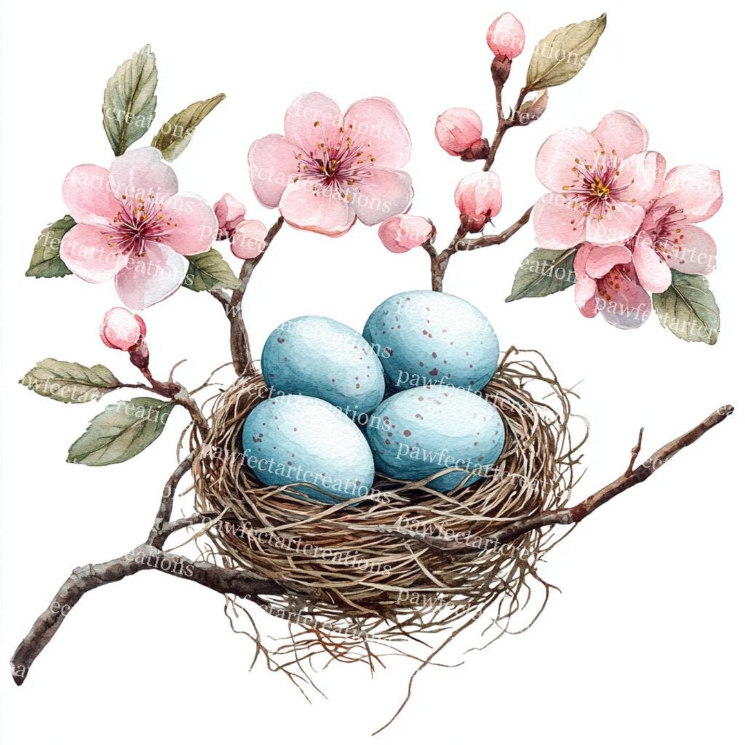 16 Bird Nest Eggs Clipart, Decorative Nest, Pastel Nest Eggs, Printable ...