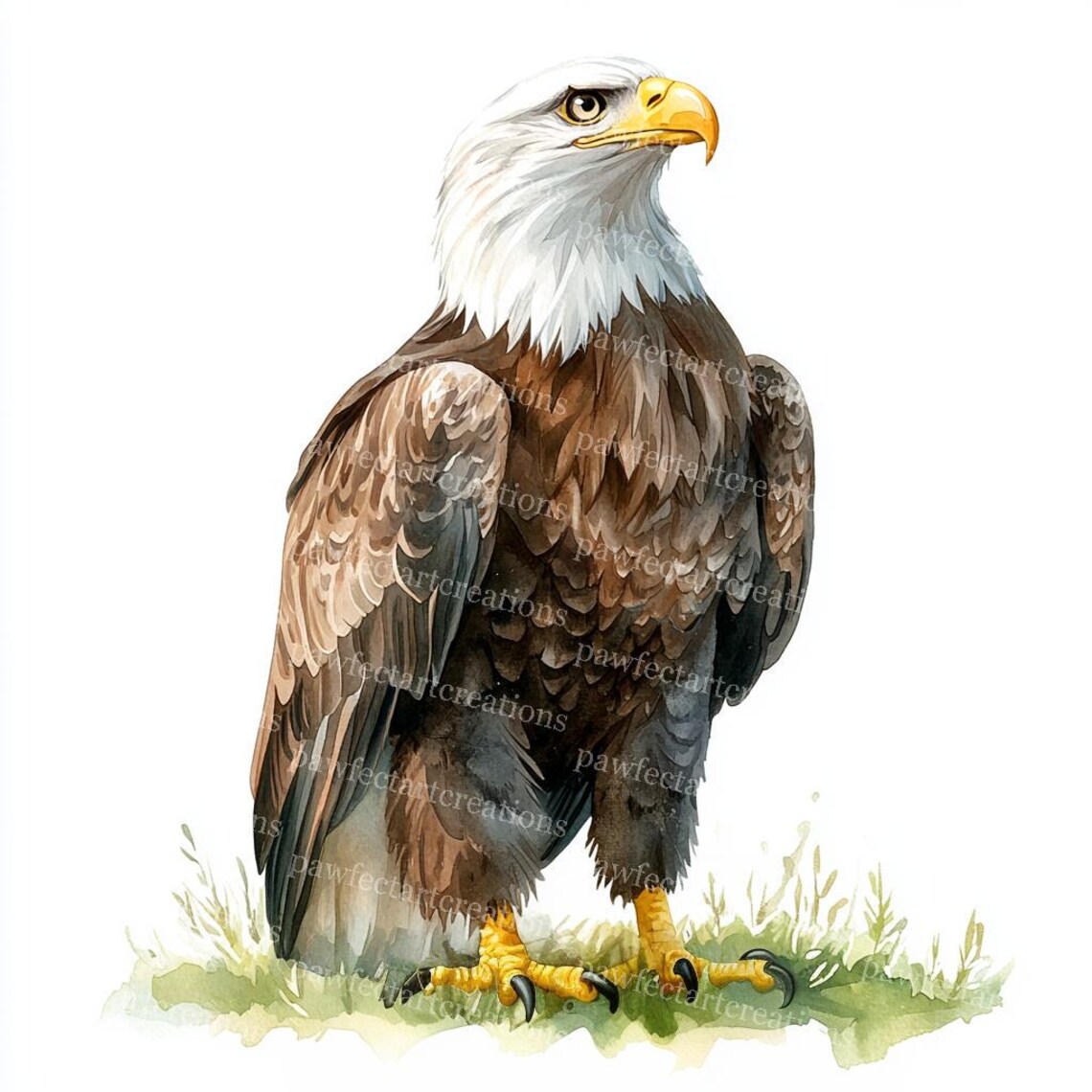 15 Bald Eagles Clipart, Eagle Flying Mountain, Watercolor Bird ...
