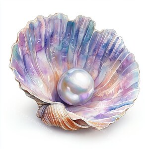 10 Clam Shell With Pearl Clipart, Sea Shell With Pearl Clipart ...