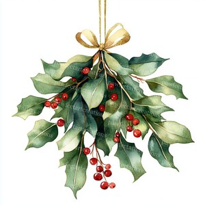 15 Mistletoe Clipart, Christmas Card, Christmas Flower Clipart ...