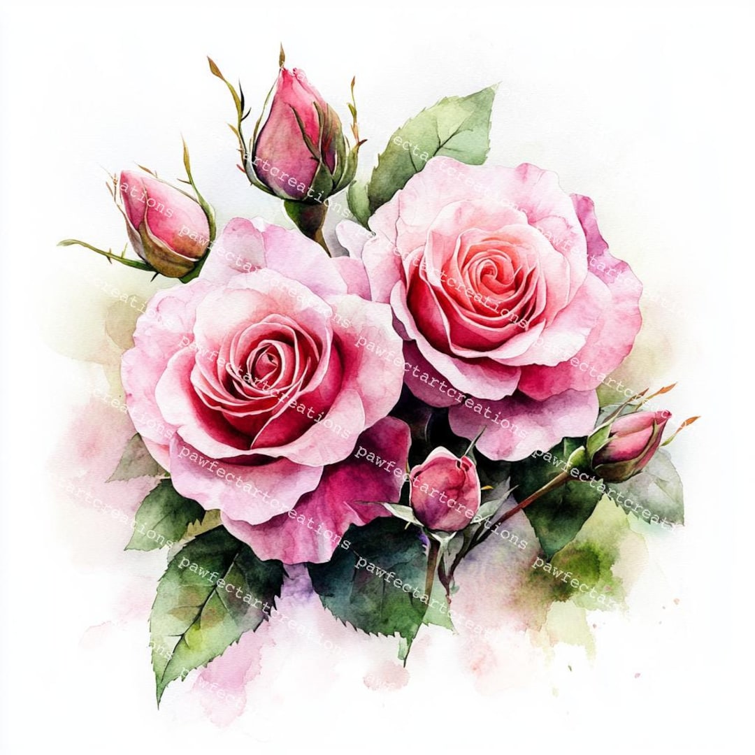 Pink Roses Watercolor Clipart: Floral Bouquet Print (digital Download ...