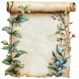 Vintage Floral Scroll Clipart: Watercolor Paper Design (digital ...