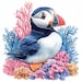 12 Cute Cartoon Puffin Clipart, Ocean Animals, Under the Sea Clipart ...