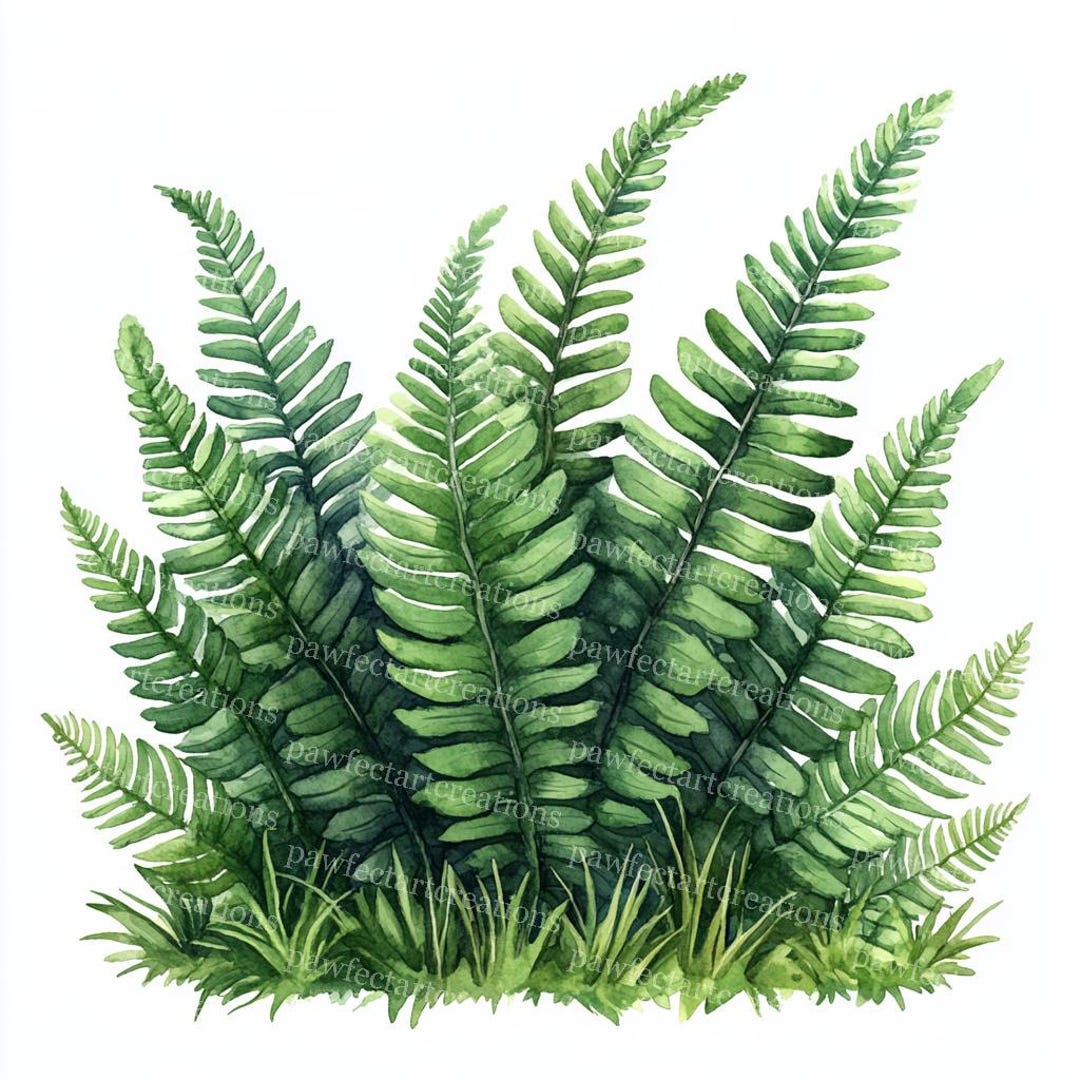 18 Fern Leaves Clipart, Golden Fern Leaves, Foliage Art, Printable ...