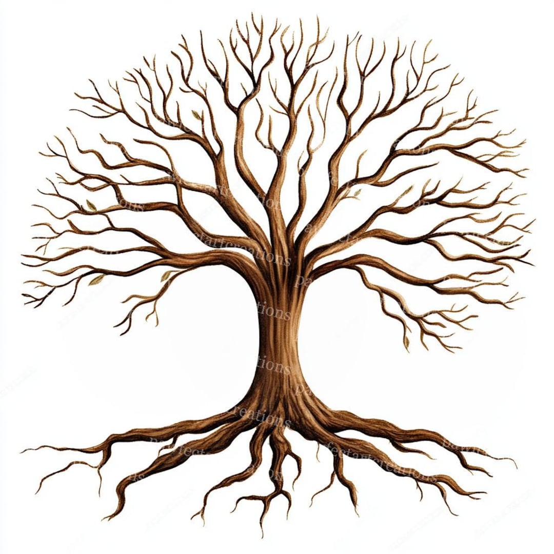 22 Oak Tree Roots Clipart, Oak Family Tree, Tree of Life, Printable ...