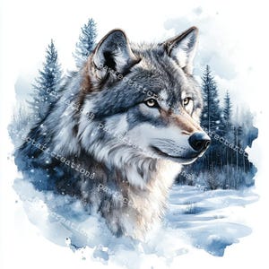 12 Wolf in Winter Clipart, Wolf in Snowy Landscape, Printable ...