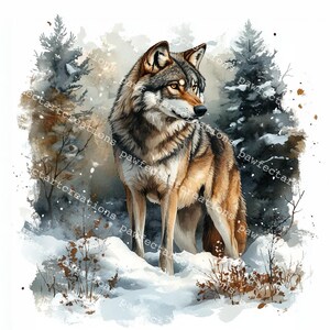 12 Wolf in Winter Clipart, Wolf in Snowy Landscape, Printable ...