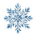Watercolor Snowflake Clipart: Winter Craft Graphics (digital Download ...