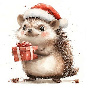 Watercolor Hedgehog Christmas Clipart: Holiday Art (digital Download ...
