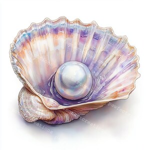 10 Clam Shell With Pearl Clipart, Sea Shell With Pearl Clipart ...
