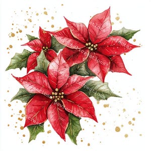 20 Poinsettia Decor Clipart, Christmas Card, Winter Floral Art ...