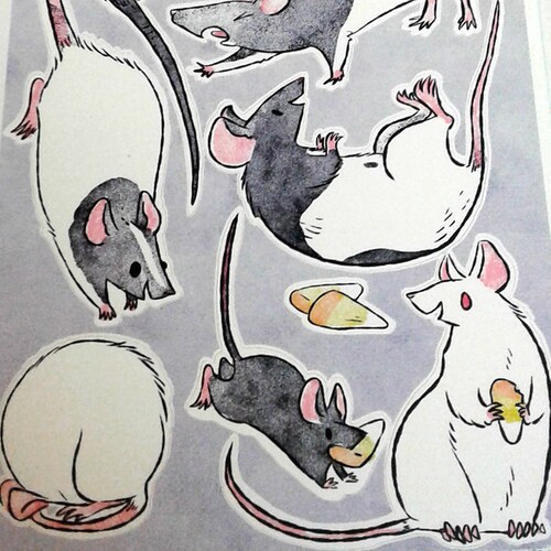 Cute Rat Sticker Sheet - Etsy