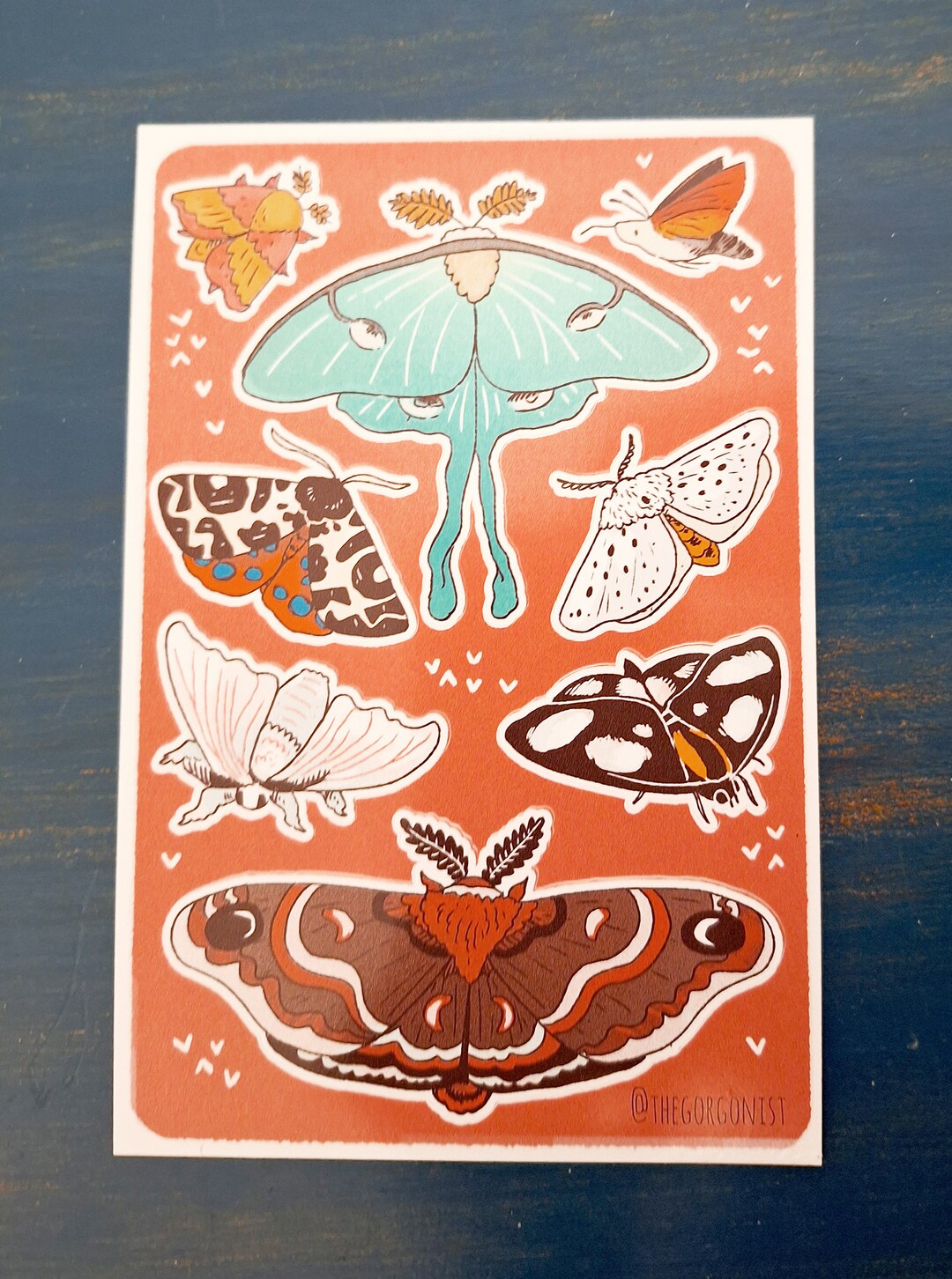Pretty Moths Kiss Cut 4x6 Inch Sticker Sheet - Etsy