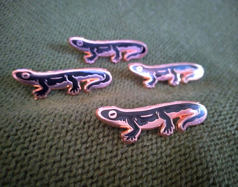 Eye of Newt Witch's Familiar Black and Copper Cute Salamander Enamel ...