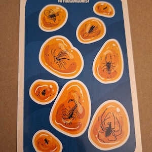Bugs in Amber 4x6 Inch Kiss Cut Sticker Sheet - Etsy