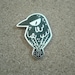 Furious Crow Cute Black Bird Hard Enamel Pin - Etsy
