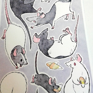 Cute Rat Sticker Sheet - Etsy