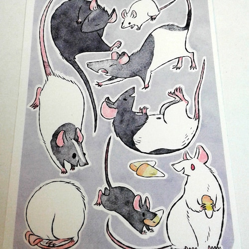 Cute Rat Sticker Sheet - Etsy