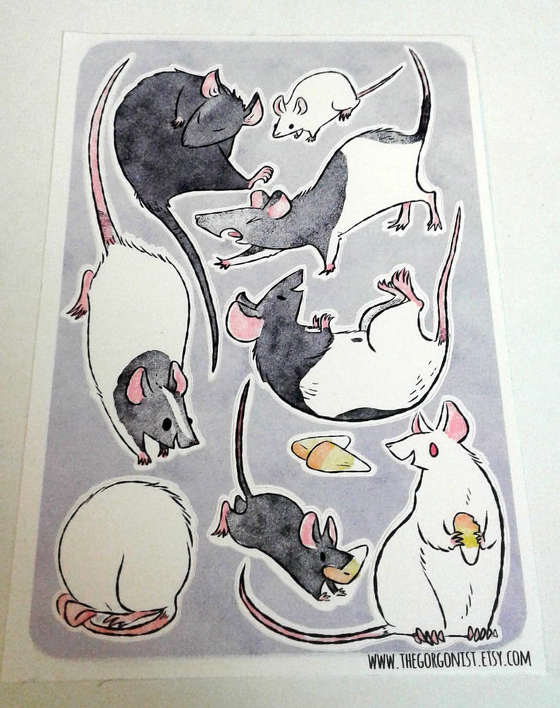 Cute Rat Sticker Sheet - Etsy