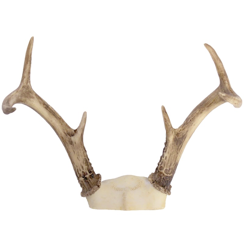 Faux Deer Antlers Mounted - Etsy
