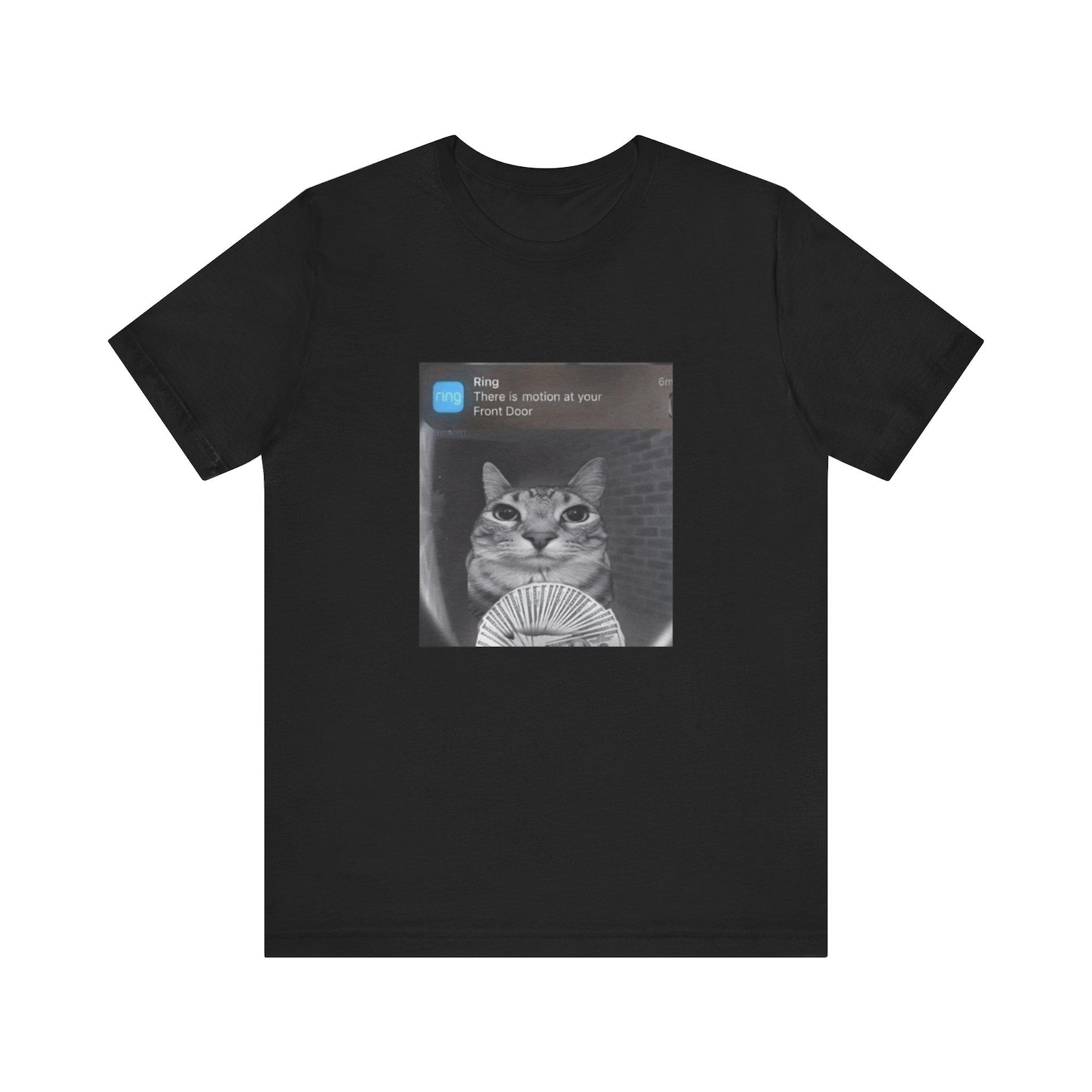 There is Motion at Your Front Door Funny Cat Meme - Funny Shirts ...