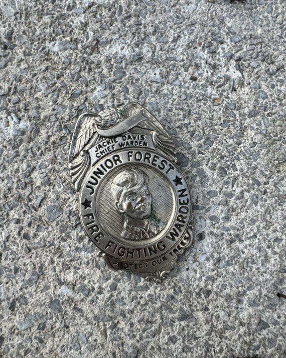 Rare Vintage Junior Forest Fire Fighting Warden Lapel… - Gem