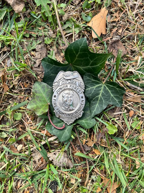 Rare Vintage Junior Forest Fire Fighting Warden Lapel… - Gem