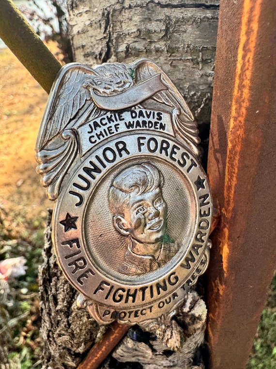 Rare Vintage Junior Forest Fire Fighting Warden Lapel… - Gem