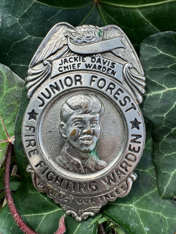 Rare Vintage Junior Forest Fire Fighting Warden Lapel… - Gem