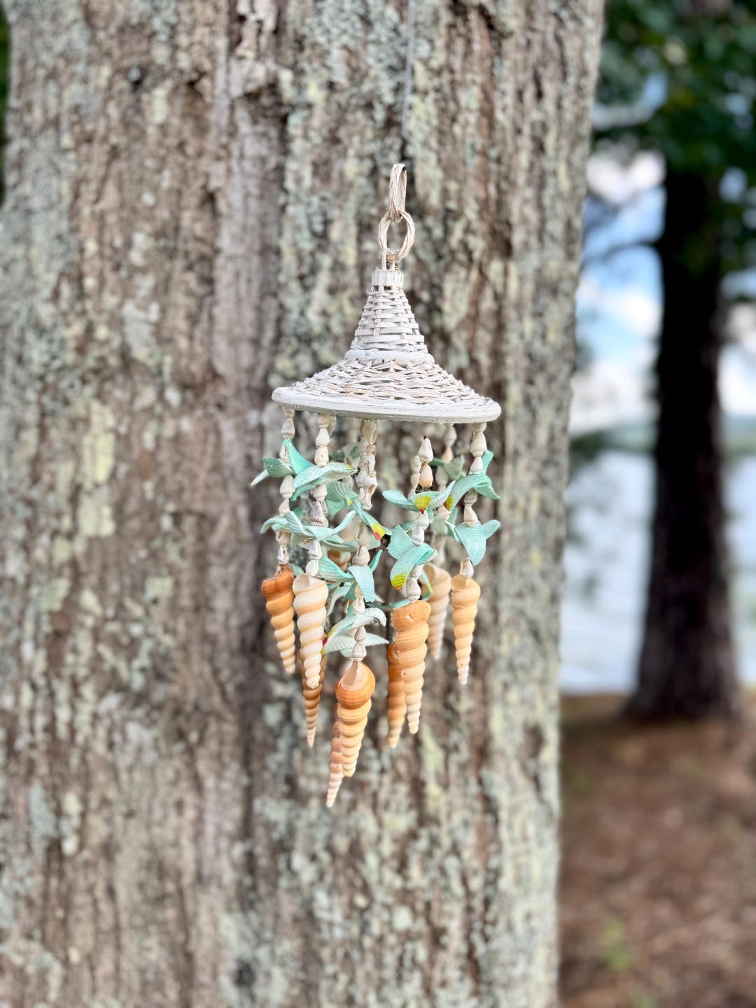Vintage 1970s Shell Chandelier Shell Wind Chime Wicker Canopy Coastal ...