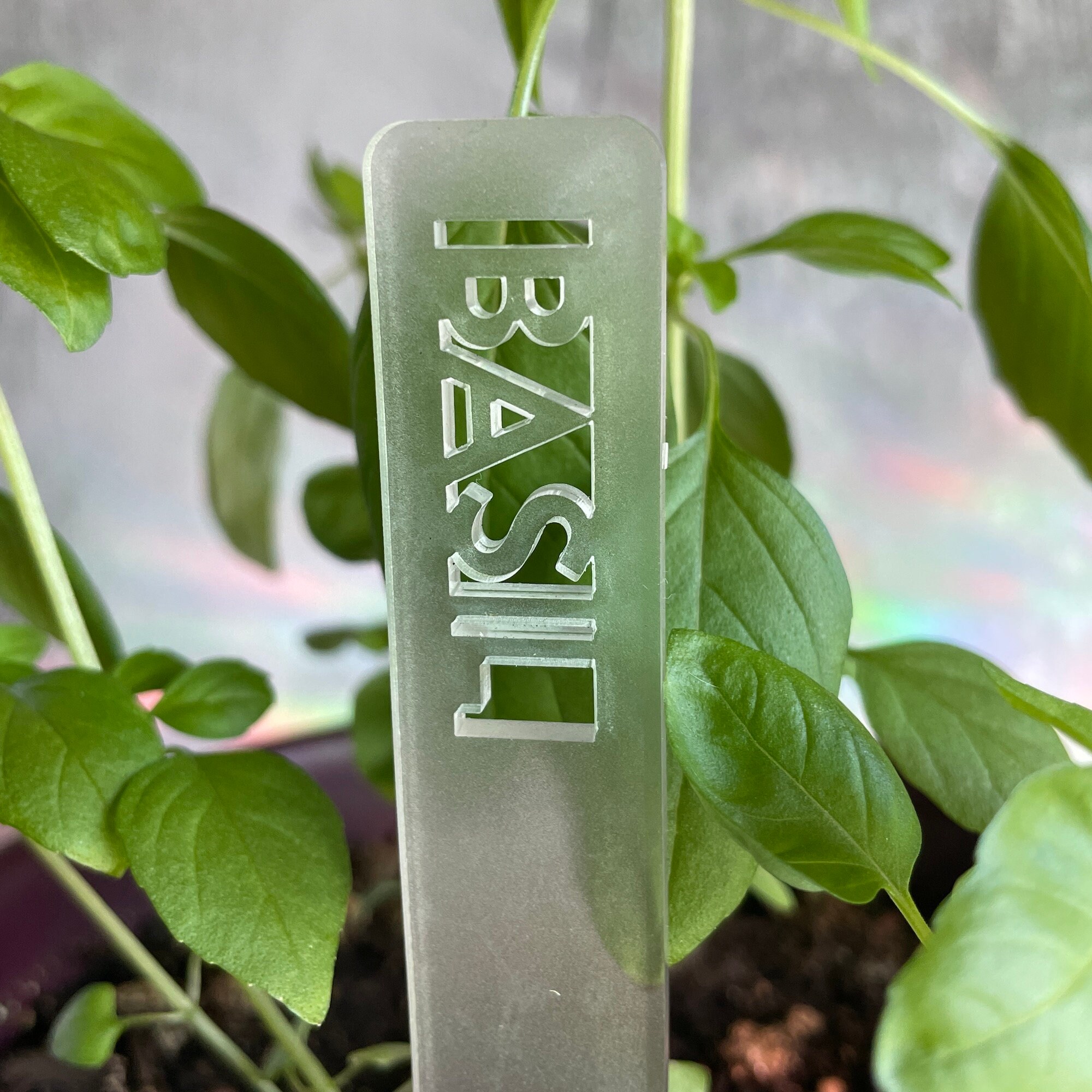 Plant Stakes Cut File Instant Download - Etsy