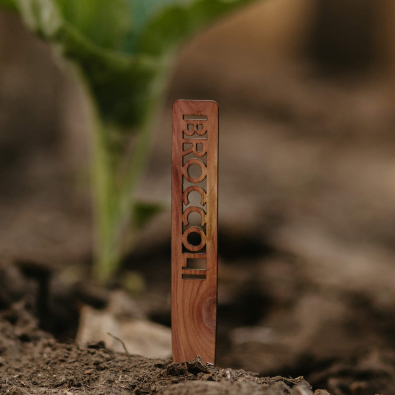 Gardening SVG Plant Stakes Instant Download for Herb Vegetable Labels ...