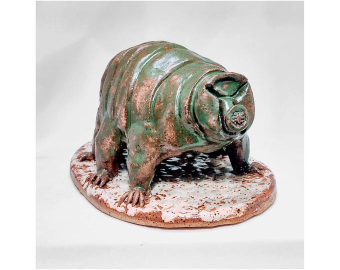 Tardigrade Ceramic Sculpture | Hedwig the Water Bear - Etsy