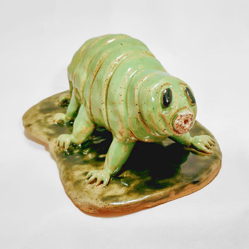 aberrantceramics - Etsy