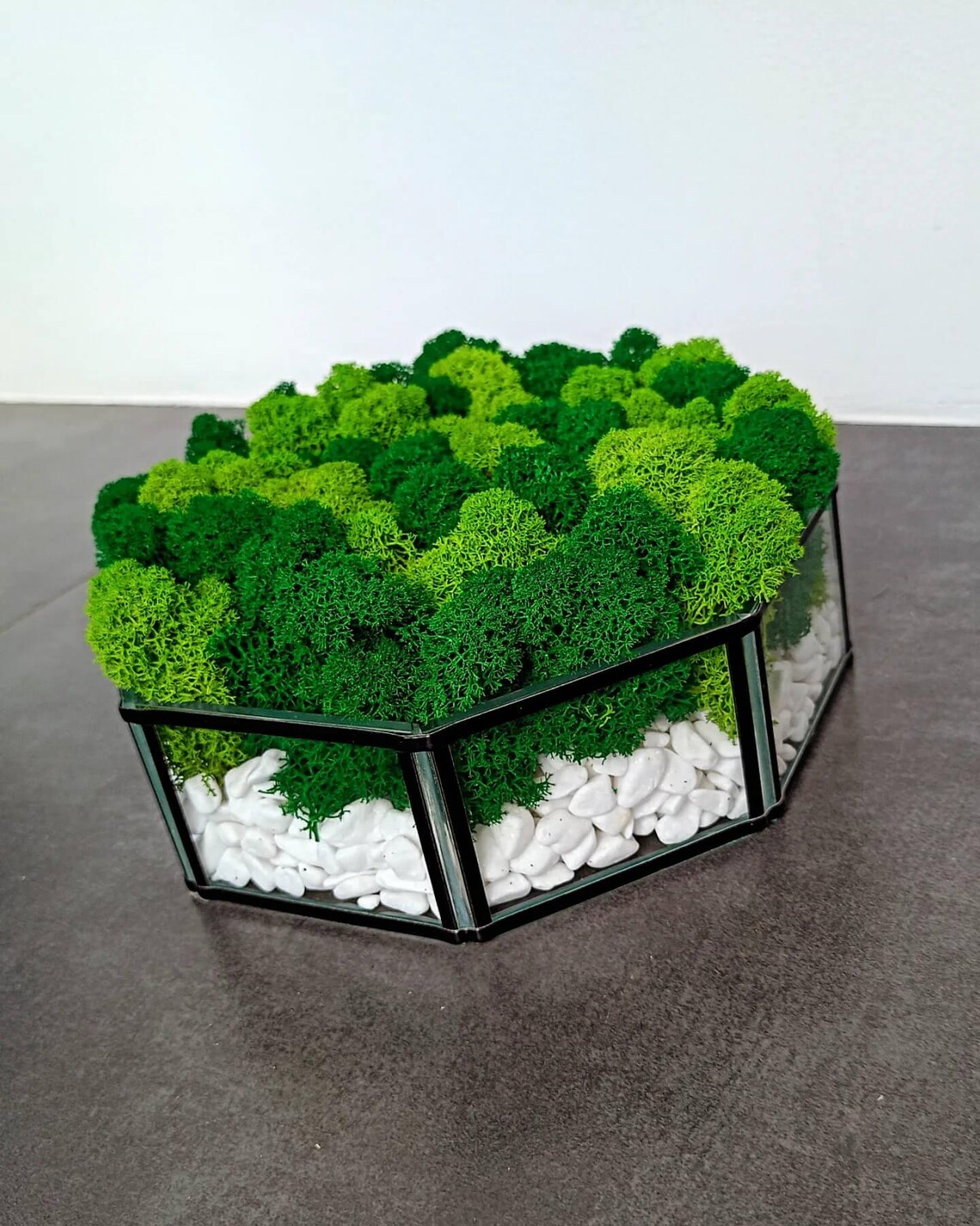 Mosarium Side Mountain , Moss Art Decor , Geometric Terrarium Decor ...