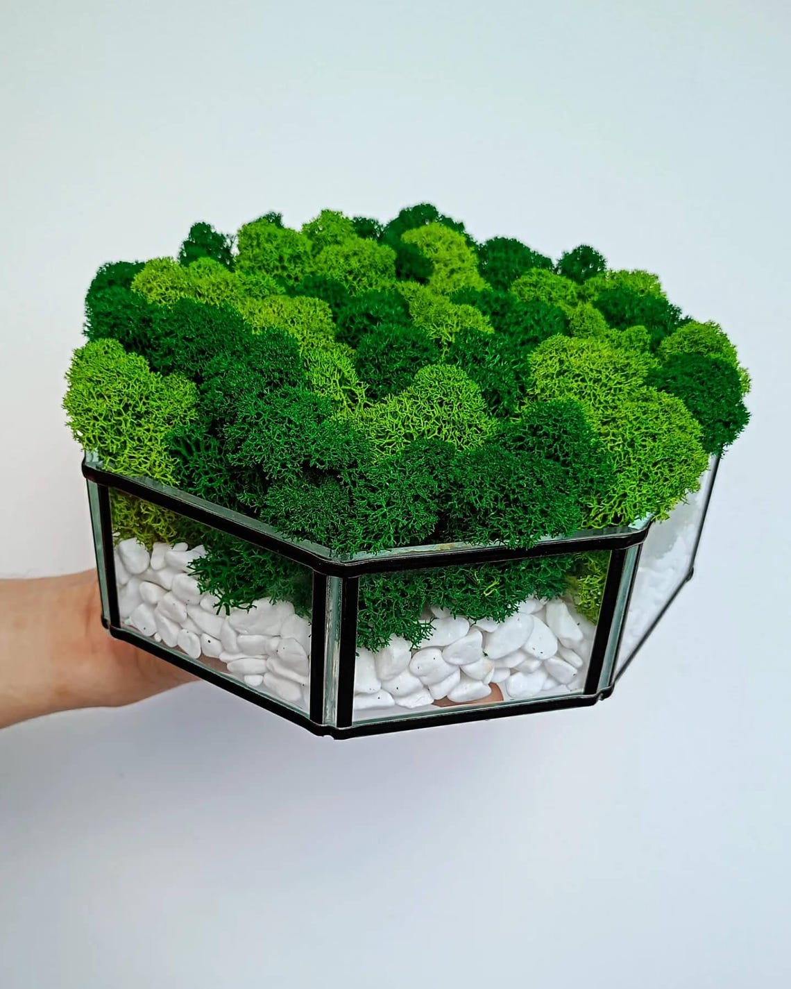 Mosarium Side Mountain , Moss Art Decor , Geometric Terrarium Decor ...