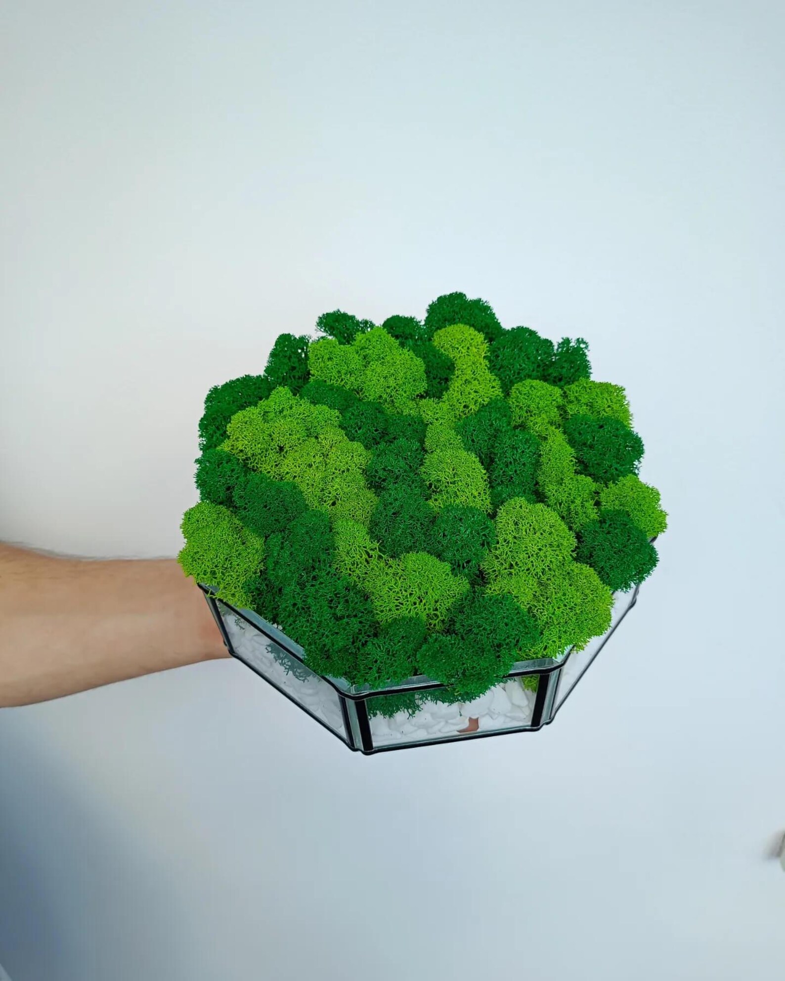 Mosarium Side Mountain , Moss Art Decor , Geometric Terrarium Decor ...