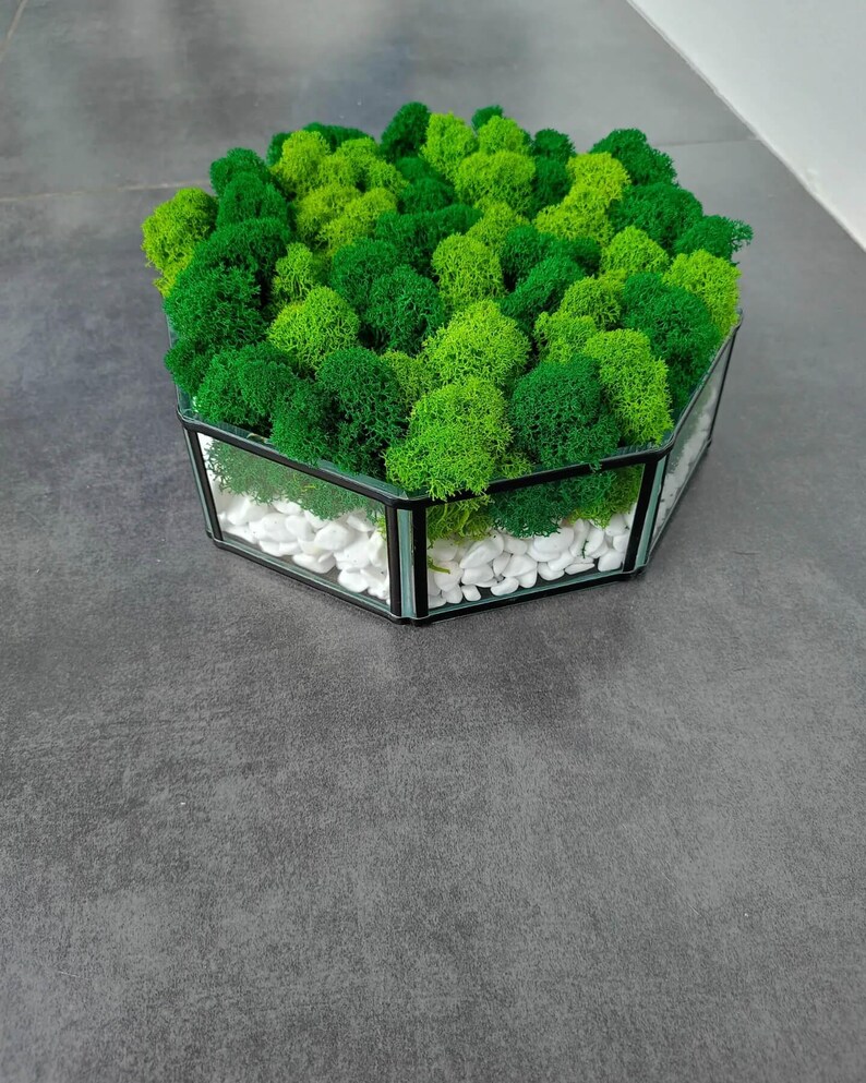 Mosarium Side Mountain , Moss Art Decor , Geometric Terrarium Decor ...
