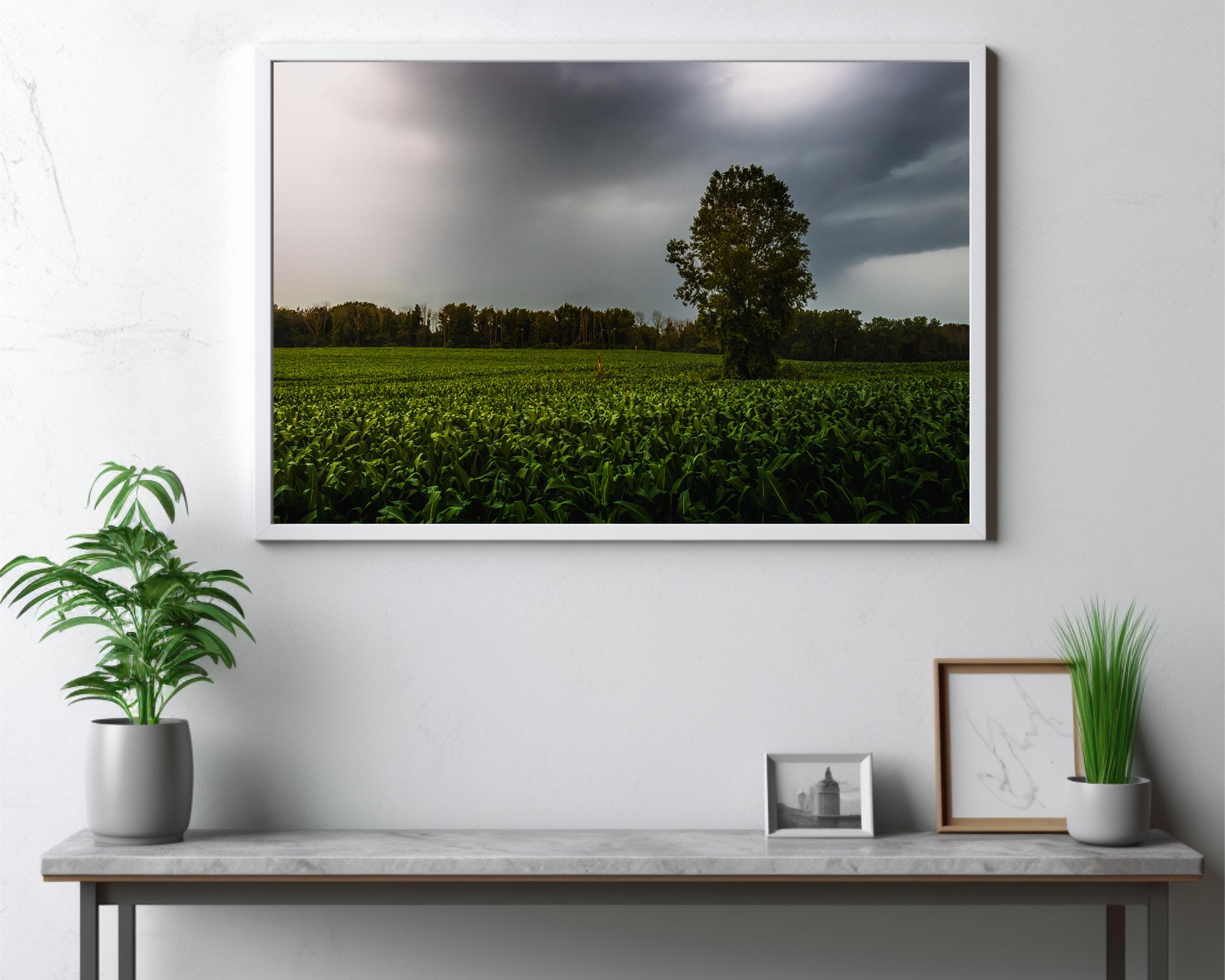 New York Storm Chasing | Storm Photography Wall Print Art, Storm ...