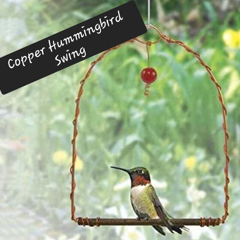 Hummingbird Swing - Etsy