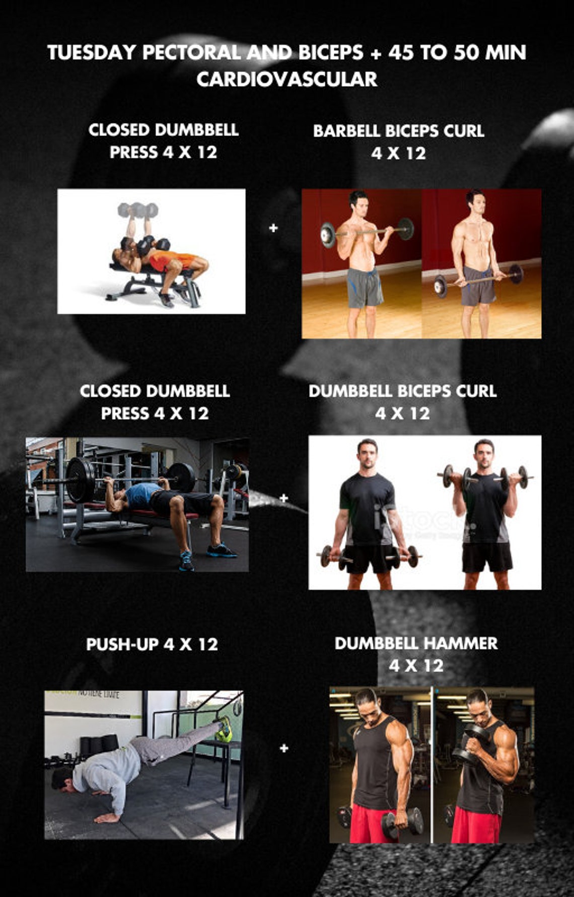 Custom Fitness Plan | Personalized Workout Program | Printable Workout Template | Gym Exercise ...