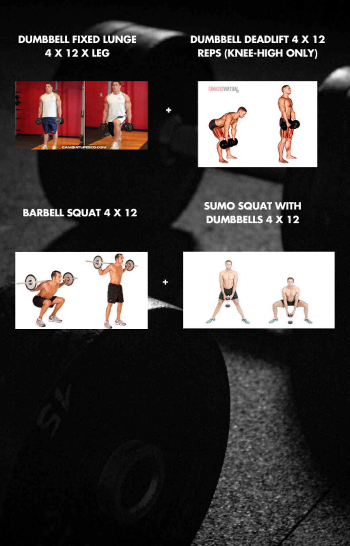 Custom Fitness Plan | Personalized Workout Program | Printable Workout ...