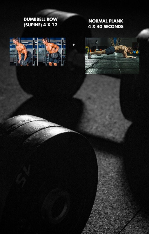 Custom Fitness Plan | Personalized Workout Program | Printable Workout ...