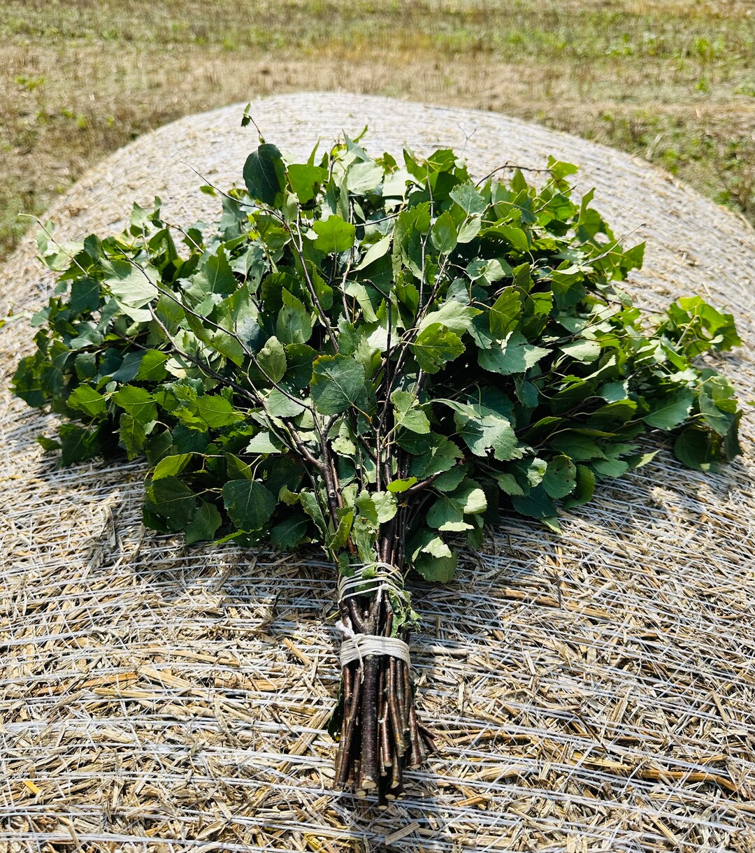 Natural Birch Sauna Whisks – Handcrafted, Aromatic Gifts for a ...