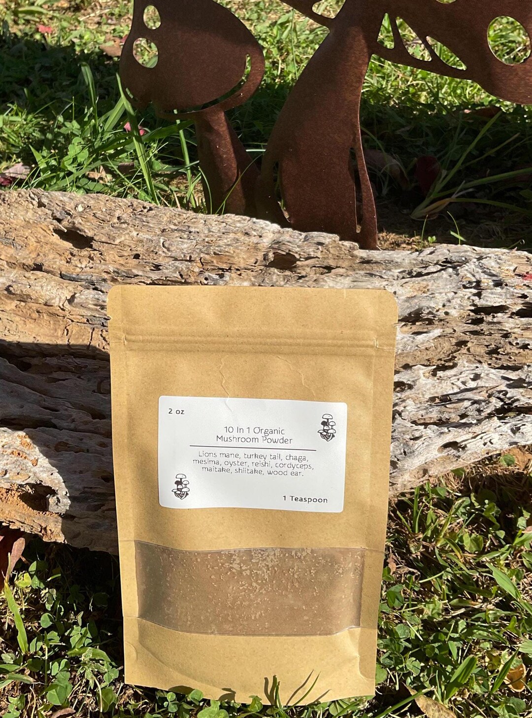 Organic 10 in 1 Mushroom Powder - Etsy