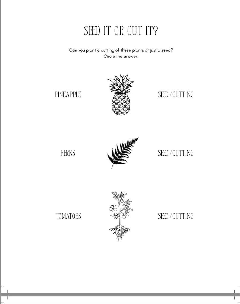 LDS Activity Days Packet: Plants, Seeds, Cuttings, Potting, Plant Craft ...